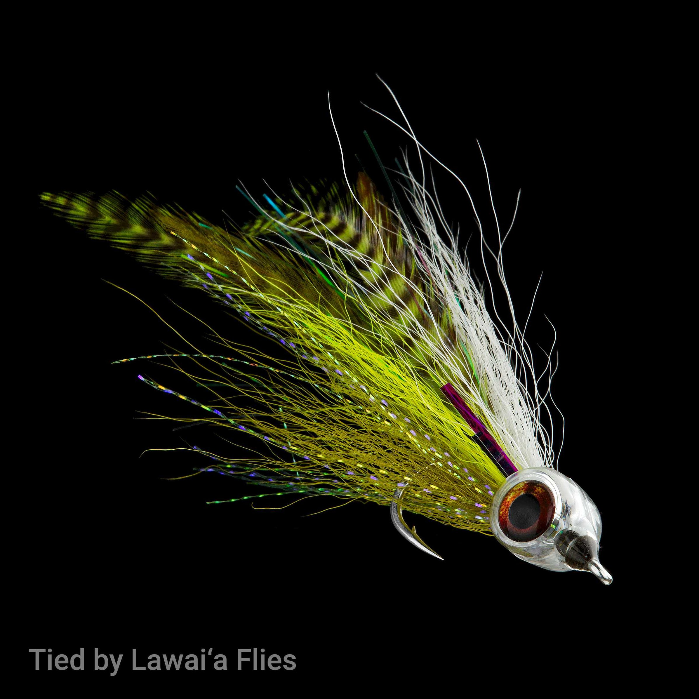 Fish Skull Fish Mask — HiFishGear